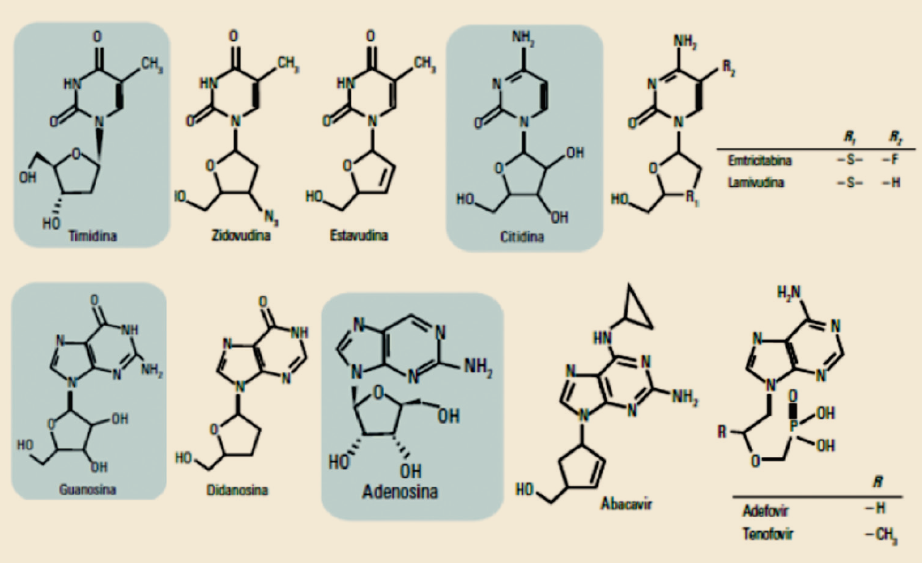 419 – Página 4 – Farmacéuticos